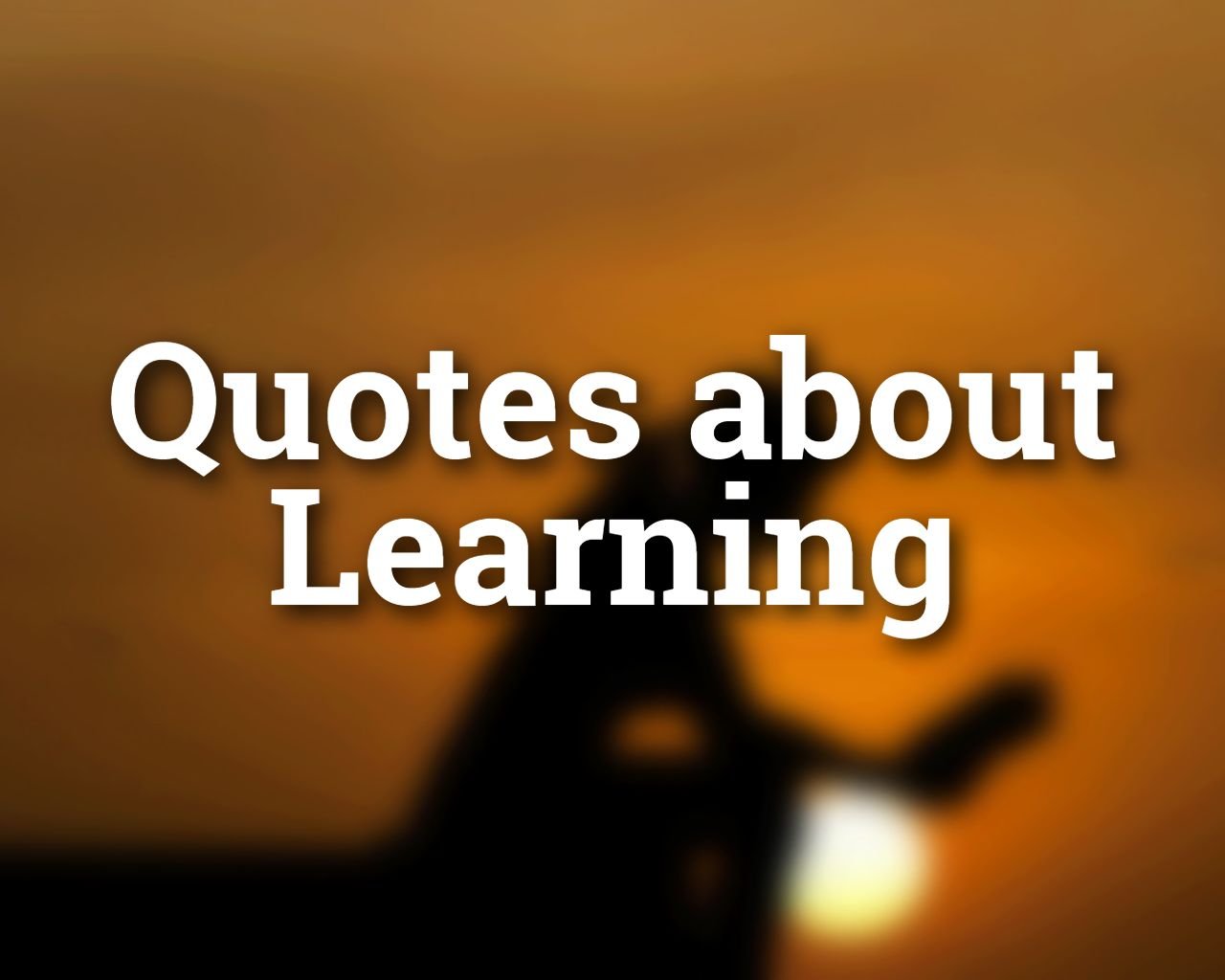 52 Quotes About Learning to Inspire Growth and Success | The Inspiring ...