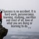 83 Hard Work Quotes to Boost Your Motivation | The Inspiring Journal
